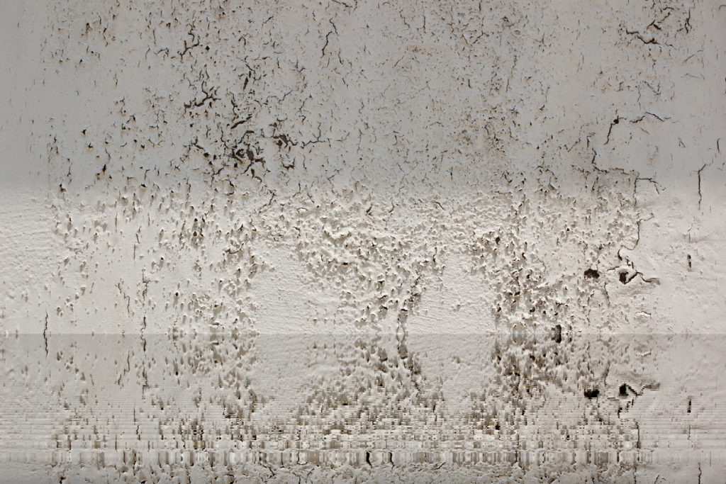 House Painting San Ramon – Causes of Exterior Blistering | Custom ...