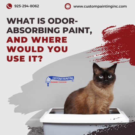 What Is Odor-Absorbing Paint, and Where Would You Use It? | Custom ...